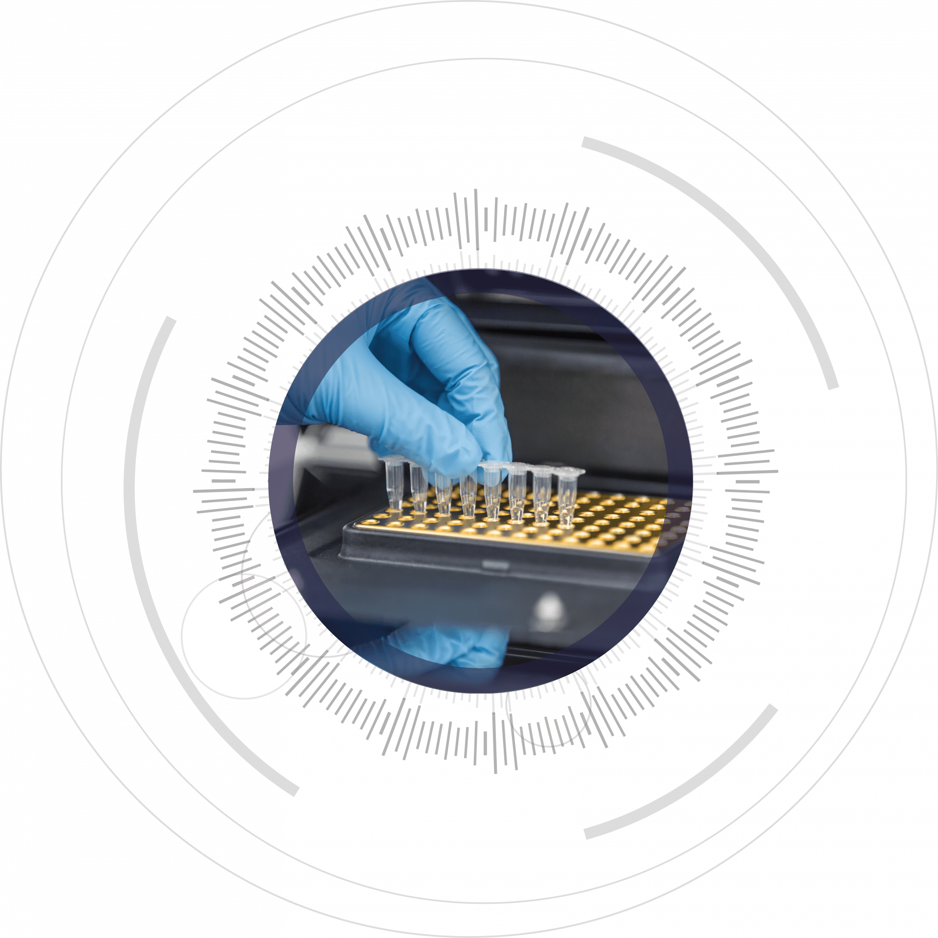 Next Generation Sequencing (NGS) - Oncode Scientific Next Generation Sequencing (NGS) - Oncode Scientific